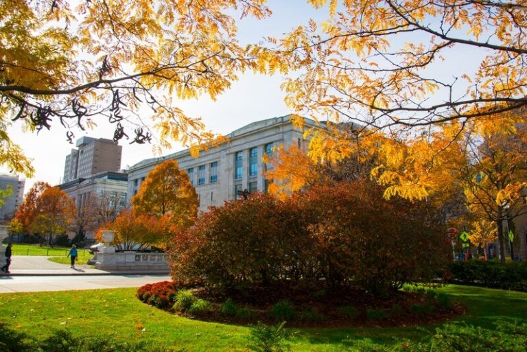 Medical School Prerequisites: Required Class List (2025)